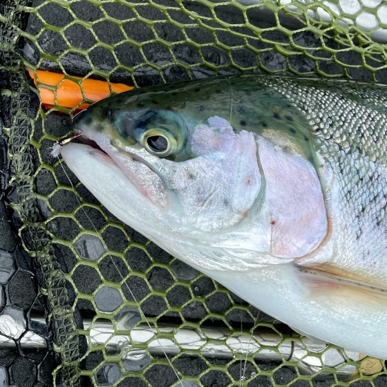 Spring Buzzer Fishing: How to maximise your success? - The Fly Shop