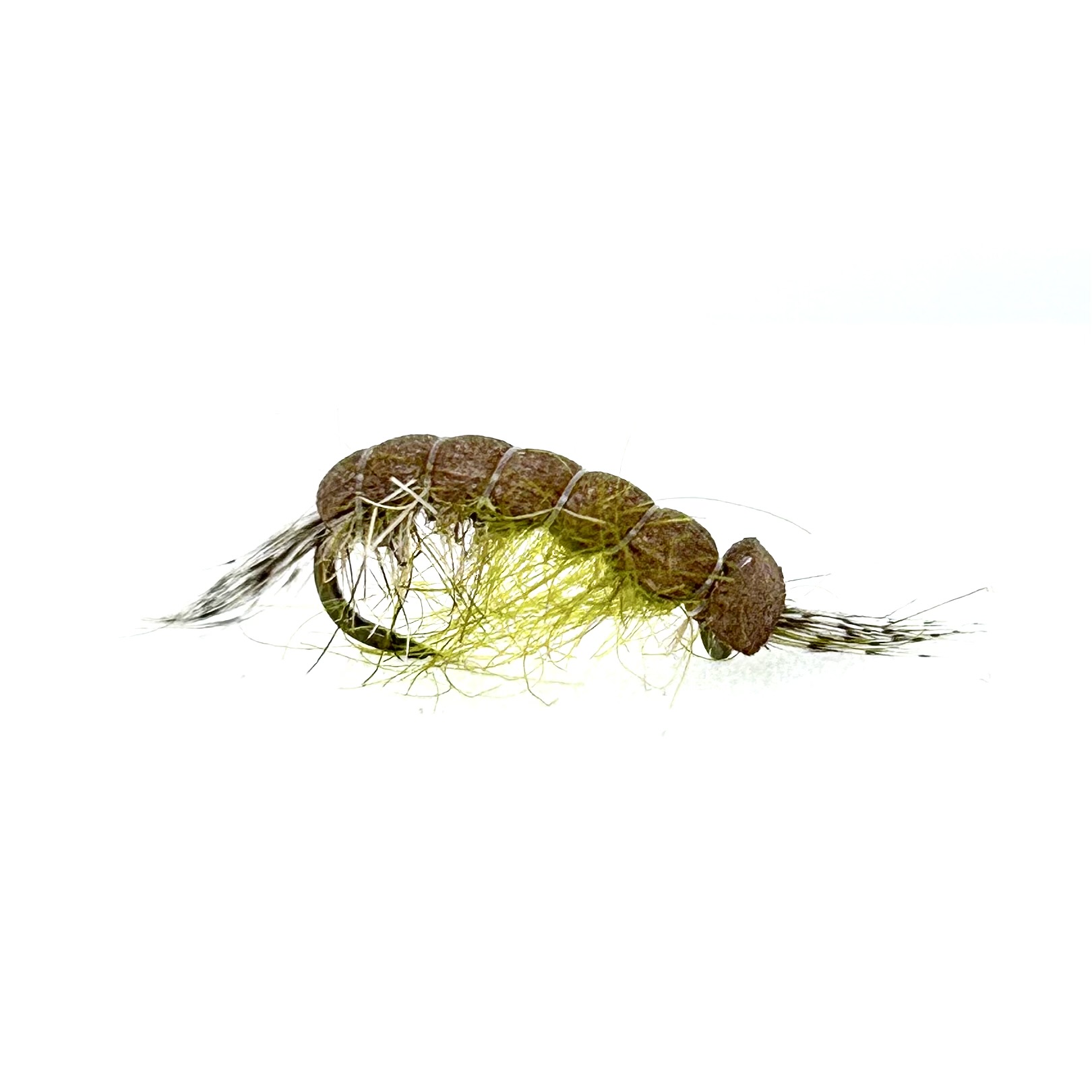 Barbless Olive Foam Shrimp - The Fly Shop